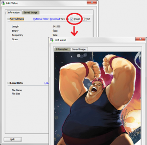 Working with BLOBs in Oracle SQL Developer Web