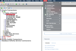Oracle SQL Developer - Make it Run Faster!