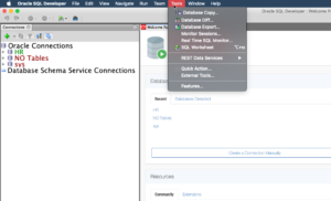 Oracle SQL Developer - Make it Run Faster!