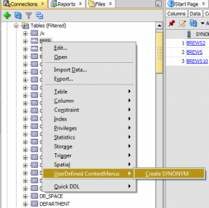 Using XML Extensions in SQL Developer to Extend SYNONYM Support