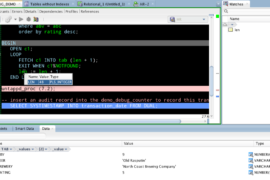 Everything you ever wanted to know about the PL/SQL Debugger
