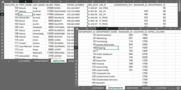 Exporting Multiple Tables To A Single Excel Fileusing Sql Developers Cart