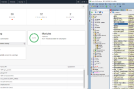 SQL Developer Web: Building RESTful Web Services