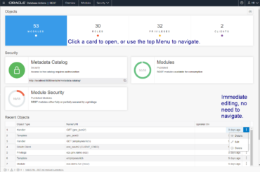 Building a RESTful Web Service using SQL Developer Web (PUT)