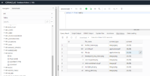Working with BLOBs in Oracle SQL Developer Web