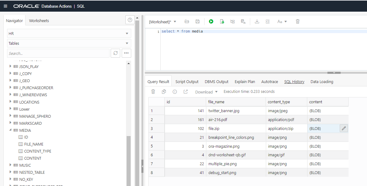 Working With Blobs In Oracle Sql Developer Web