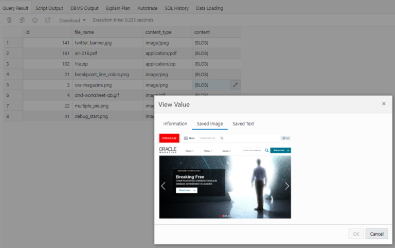 Working With Blobs In Oracle Sql Developer Web