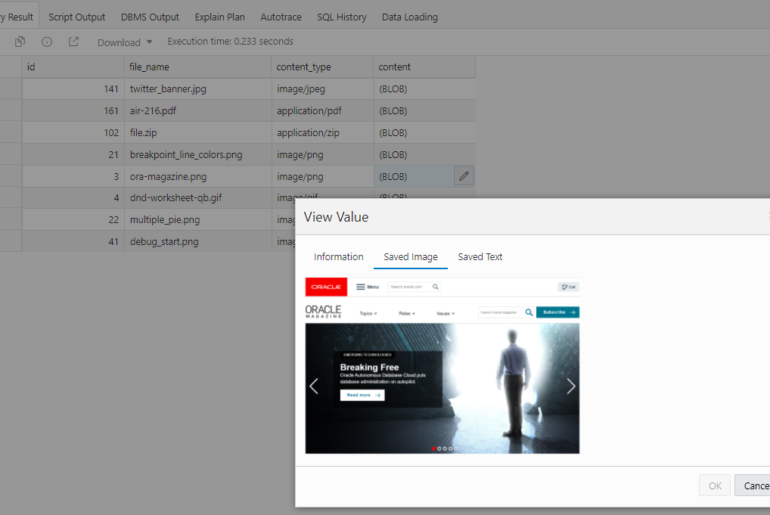 Working With Blobs In Oracle Sql Developer Web 5056