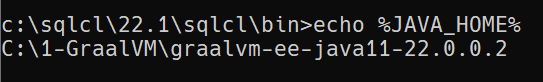 How To Execute Javascript In Oracle Sqlcl Version 221 And Higher