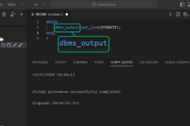 Logins, TNS, DBMS_OUTPUT, & dates in SQLDev for VS Code