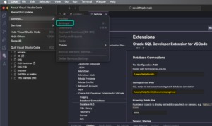 Definitive guide to moving from SQL Developer to VS Code